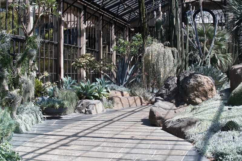 DSC00665 – Sean Carpenter – Photographs and Work